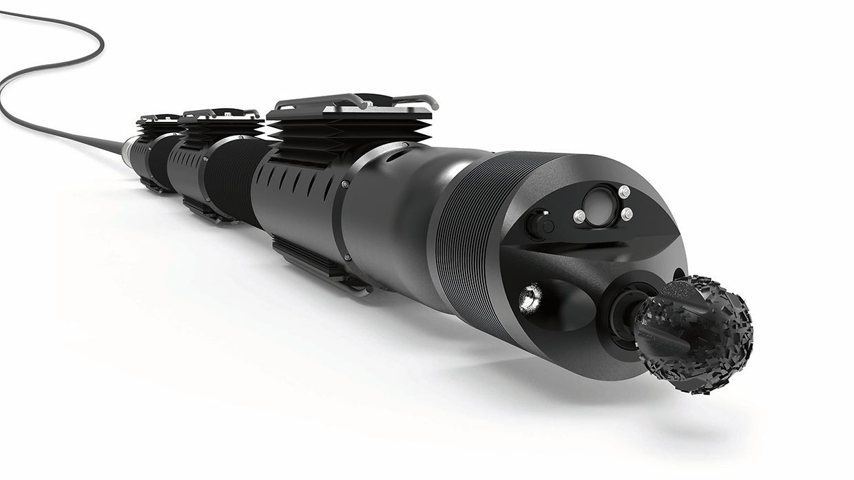 蚯蚓就在里面 | maxon group